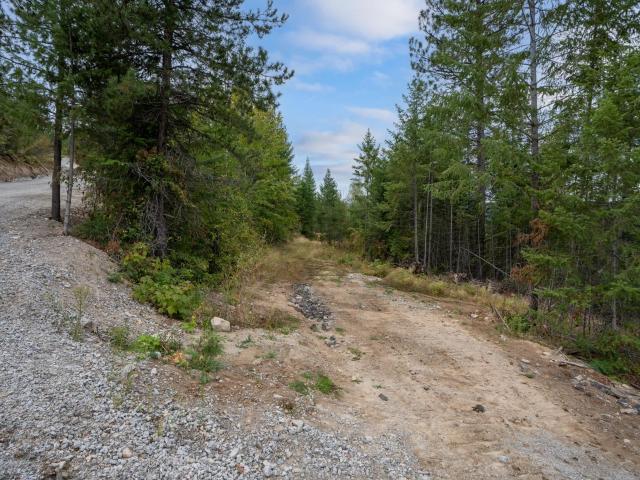 220 Hawkwind Trl, Cocolalla, ID 83813 | MLS #202614
