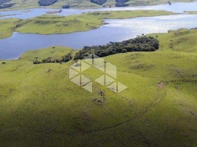 220 ha de uma belíssima área de terras própria para Turismo em São Francisco de Paula