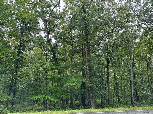 220 Mattison Reservoir Ave, Frankford Township, NJ 07826