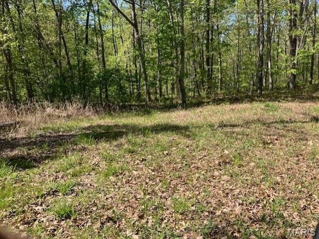 220 Madison St # 410, Fredericktown, MO 63645