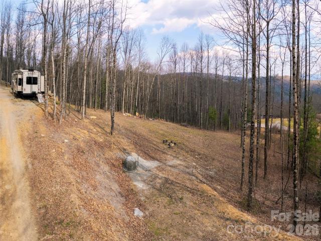 220 Simply Grateful Dr, Hendersonville, NC 28792 | MLS #4366 | Compass