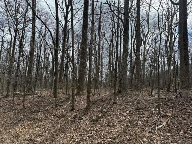 220 St Andrews Way Lot 220, Jasper, GA 30143