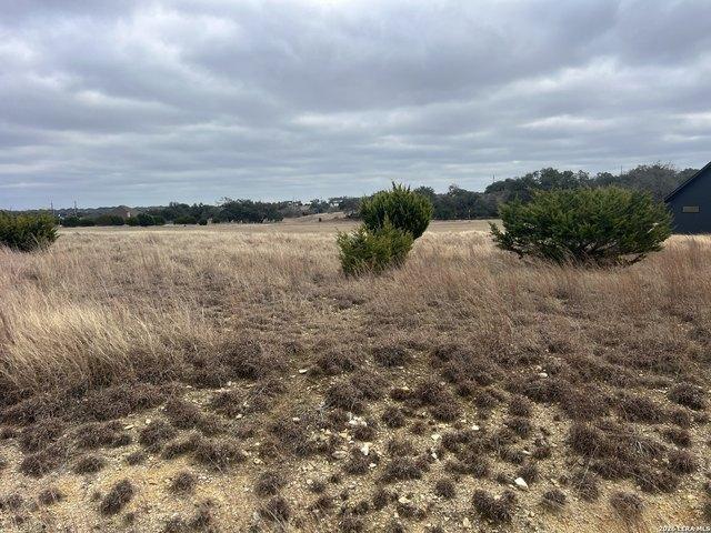 220 Peter Kleid Loop Lot 679, Blanco, TX 78606