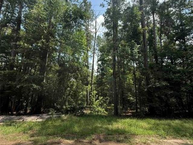 220 W Lake Shore Dr, Livingston, TX 77351