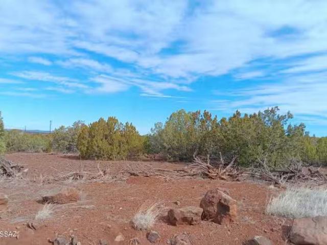 2215 Maslanko Lane, Show Low, AZ 85901 631556635