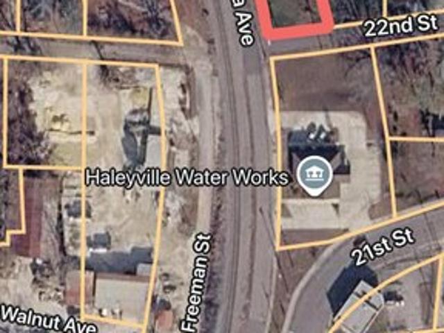 2215 Alabama Ave, Haleyville, AL 35565