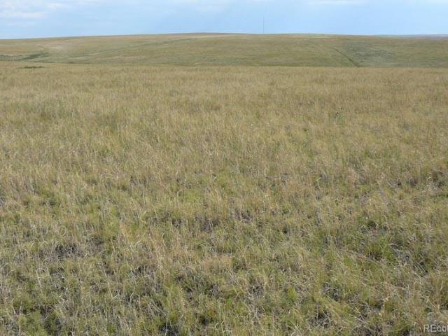 2215 Cr 269, Deer Trail, CO 80105 | MLS #7041