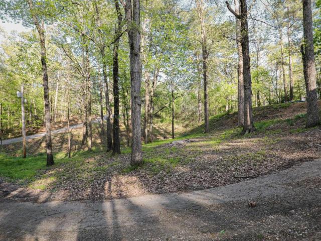 2215 gwin lane