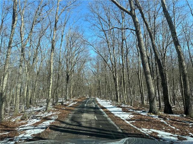 2215 Greenville Turnpike, Port Jervis, NY 12771 | MLS #H6293