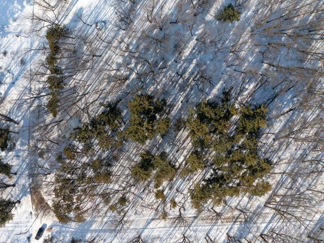 22160 Country Trace