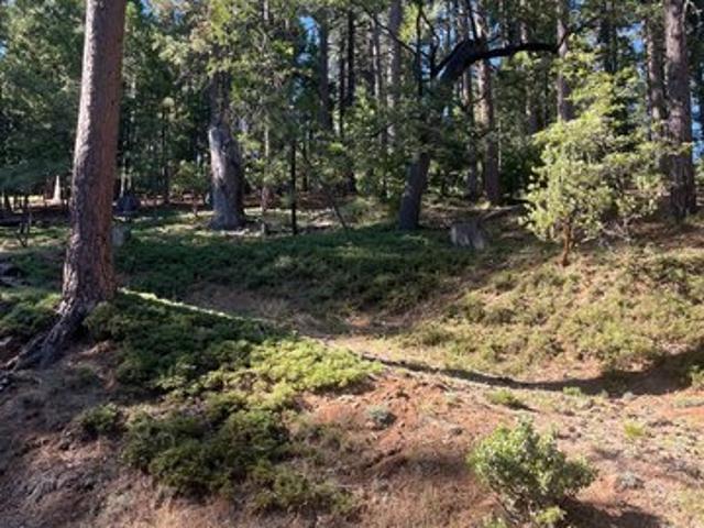 2216 Chaparral Dr, Arnold, CA 95223