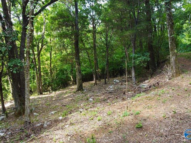 2216 Governors Bend Road SE