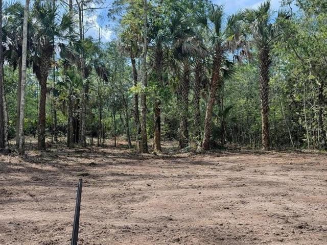 2216 Laurel Ave, Bunnell, FL 32110