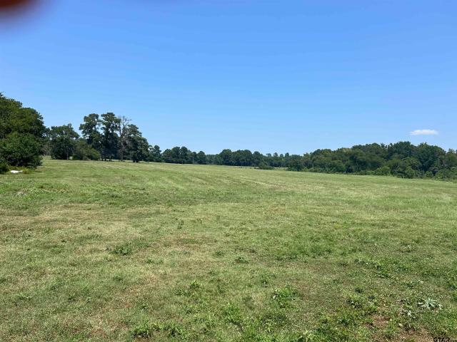 22173 Highway 135, Troup, TX 75789 | MLS #26003 | Compass