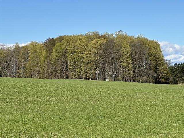 2210 E Gajeski Road