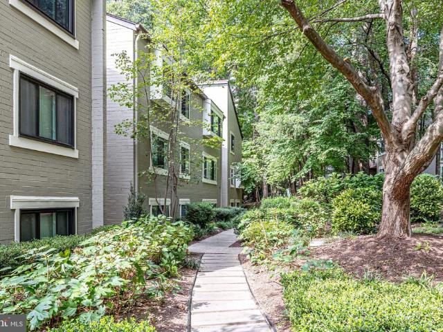 2210 Springwood Drive # 207