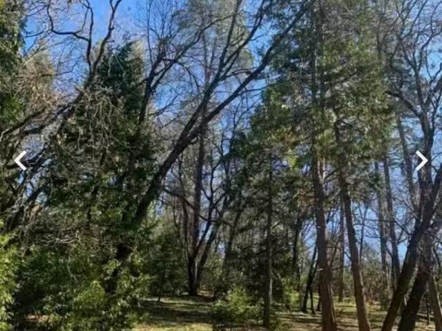 22123 THUNDERBOLT DR, SONORA, CA 95370 Single Family Residence.