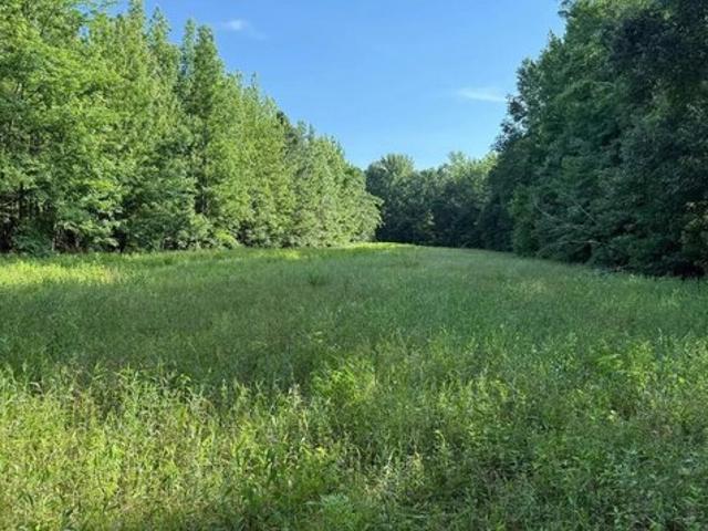 2212 Graham Rd, Jacksonville, AR 72076