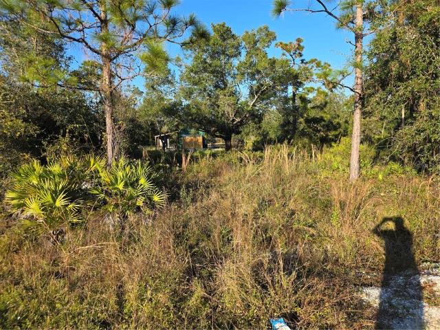 2212 Wakefield St, Port Charlotte, FL 33948 | MLS #D6145