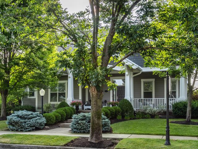 2213 Shaftesbury Road