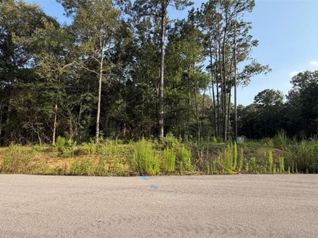 221 County Road 6311, Dayton, TX 77535
