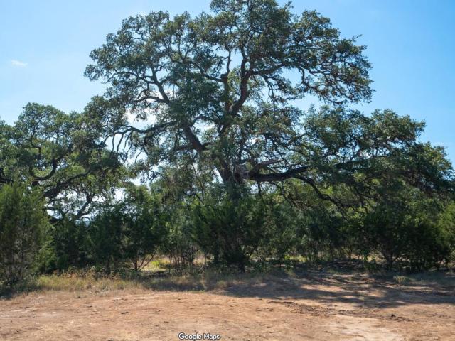 221 Charro Vista Dr