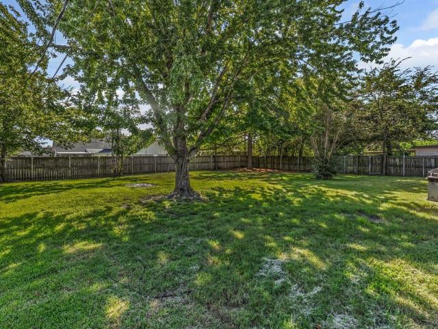 221 Azalea Lane
