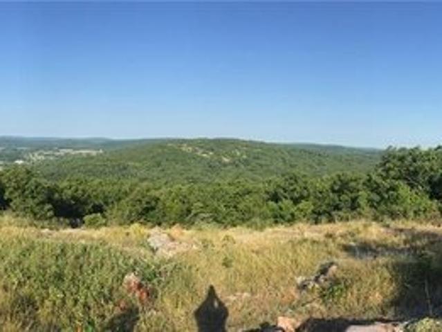 221 Hwyvance Rd, Ironton, MO 63663