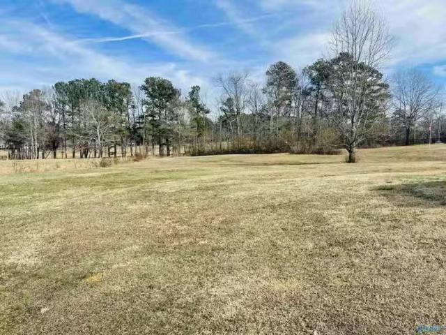 221 MARK WHITT RD, BOAZ, AL 35956 Vacant Land For Sale MLS# 2.