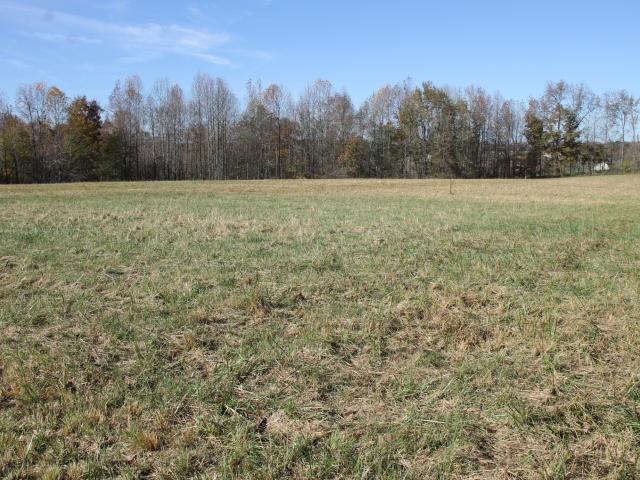221 Whitson Rd