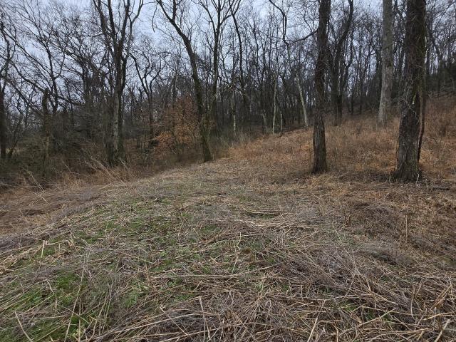 22241 Hwy 64