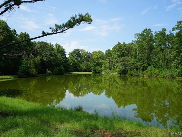 22246 Lapine Hwy, Lapine, AL 36046