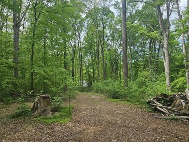 2225 Caney Branch Rd, Stewart, TN 37175