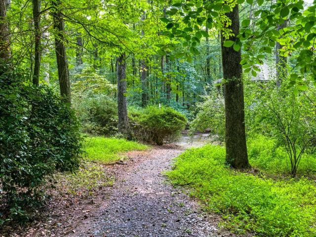 2227 Graystone Ln, Chapel Hill, NC 27514 | MLS #10157