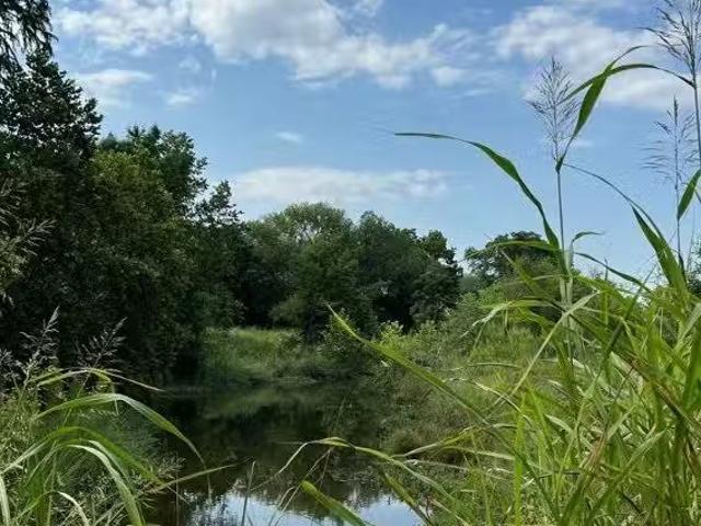 2228 River Rd, San Marcos, TX 78666 MLS 553522