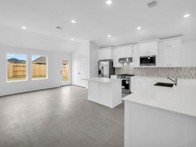 22206 San Lioni Lane