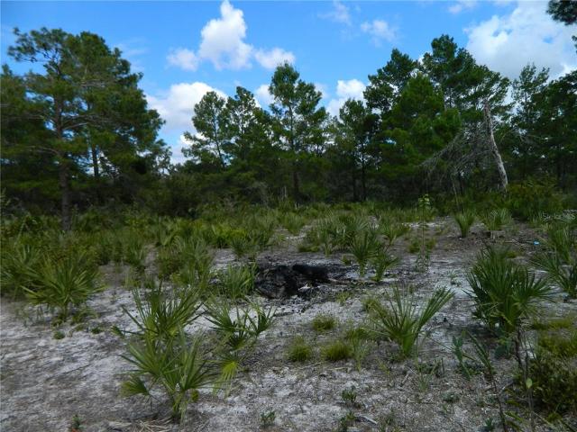 2220 N Altair Rd, Avon Park, FL 33825 | MLS #TB8432 | Compass