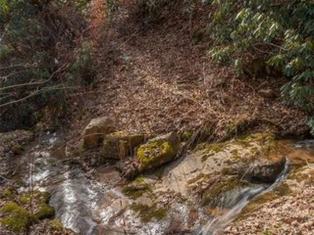 2220 Tilley Creek Rd # 1, Cullowhee, NC 28723