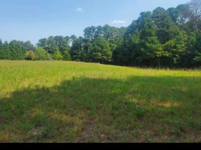 2221 Old Bunn Rd, Zebulon, NC 27597 | MLS #10118 | Compass
