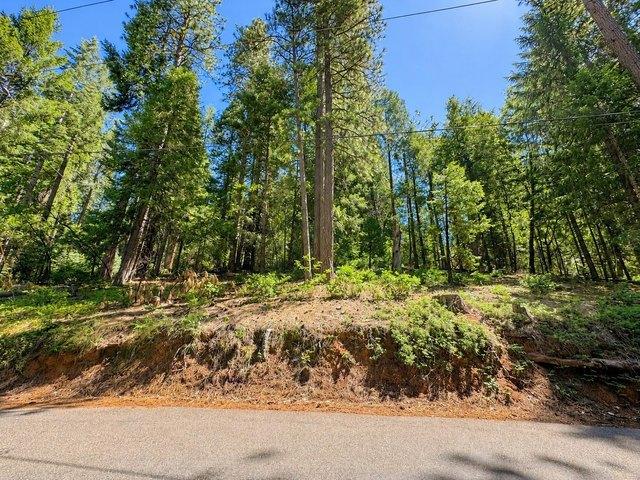 2221 Forebay Rd, Pollock Pines, CA 95726