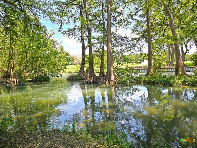 2221 Gruene Road