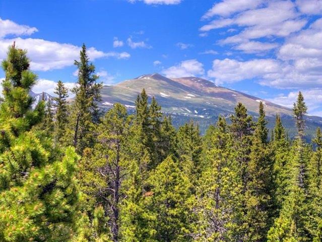 2221 Kootchie Rd, Alma, CO 80420