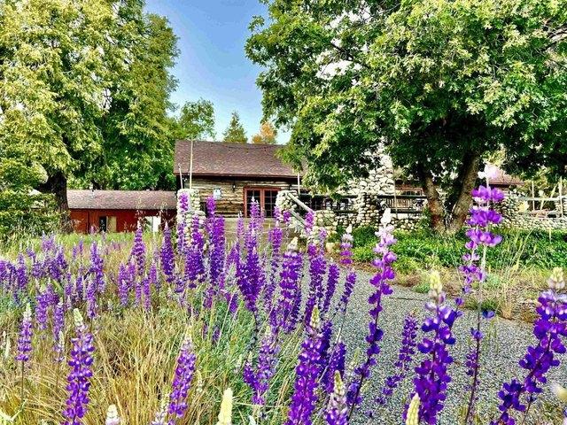 22228 Crestline Rd, Palomar Mountain, CA 92060
