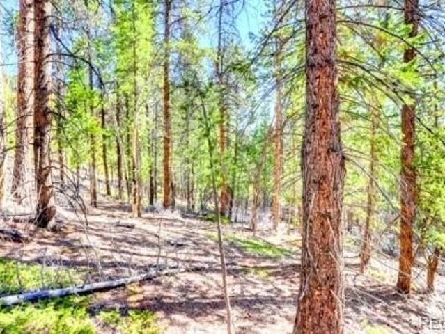 2222 Swift Claim Rd, Georgetown, CO 80444