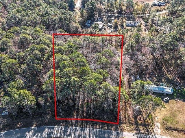 2223 Cosmos Ave, Middleburg, FL 32068
