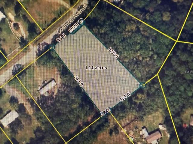 2223 Cosmos Ave, Middleburg, FL 32068 | MLS #O6377