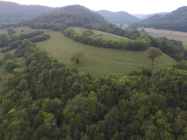 222 Cook Hollow Ln