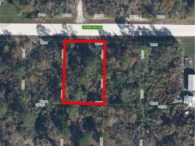 222 Crosby Ave NW, Lake Placid, FL 33852