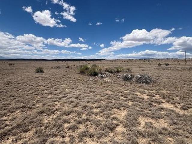 222 and 224 Turkey Ridge Rnch, Walsenburg, CO 81089