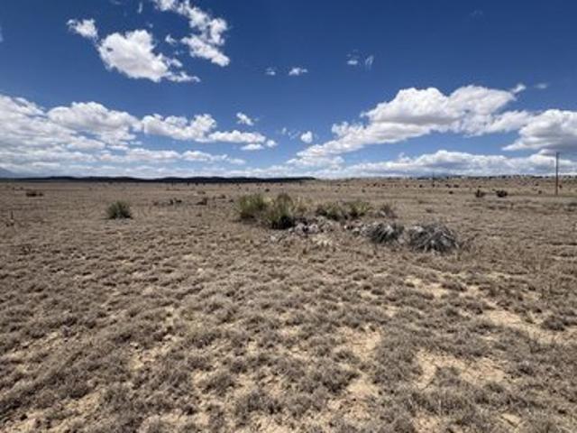 222 and 224 Turkey Ridge Rnch, Walsenburg, CO 81089